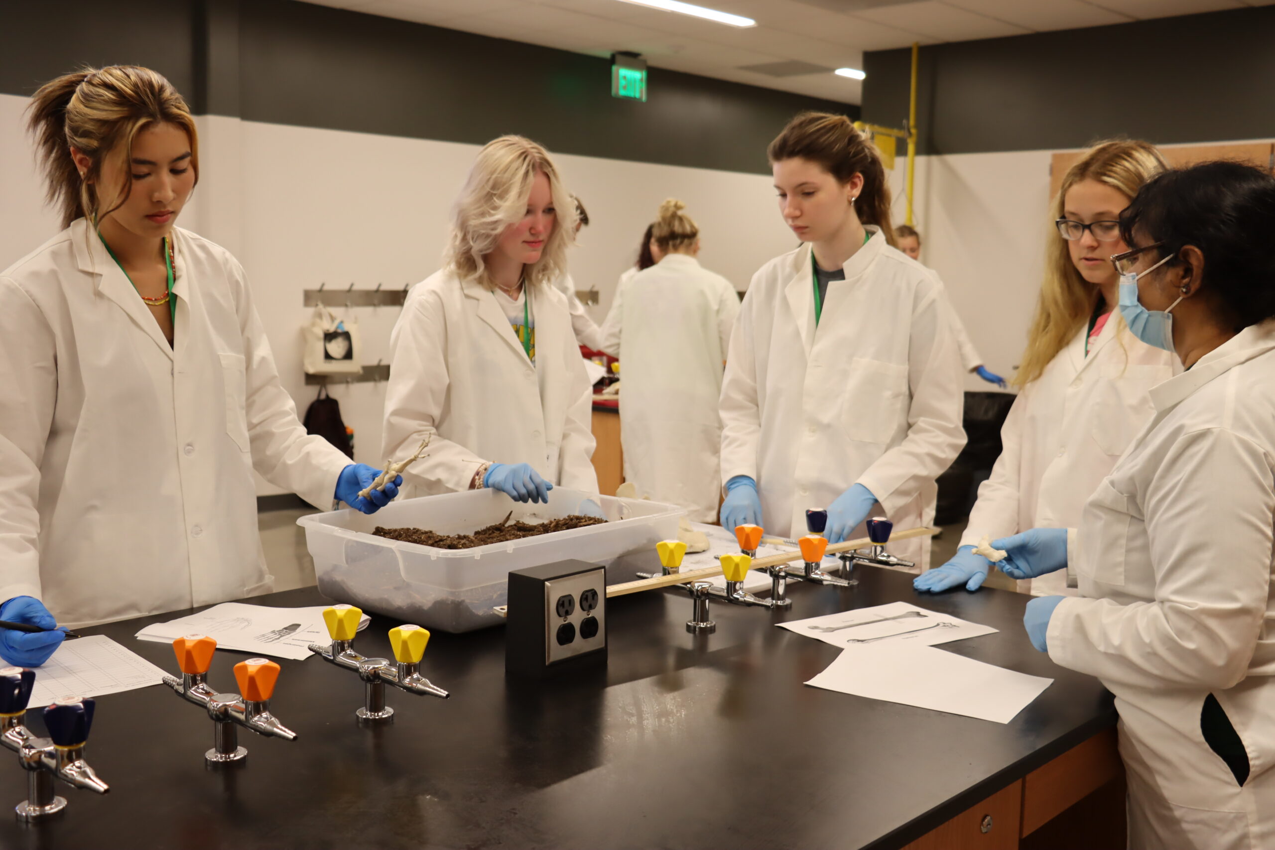 Move Over Nancy Drew – The Next Generation of Sleuths and Scientists ...