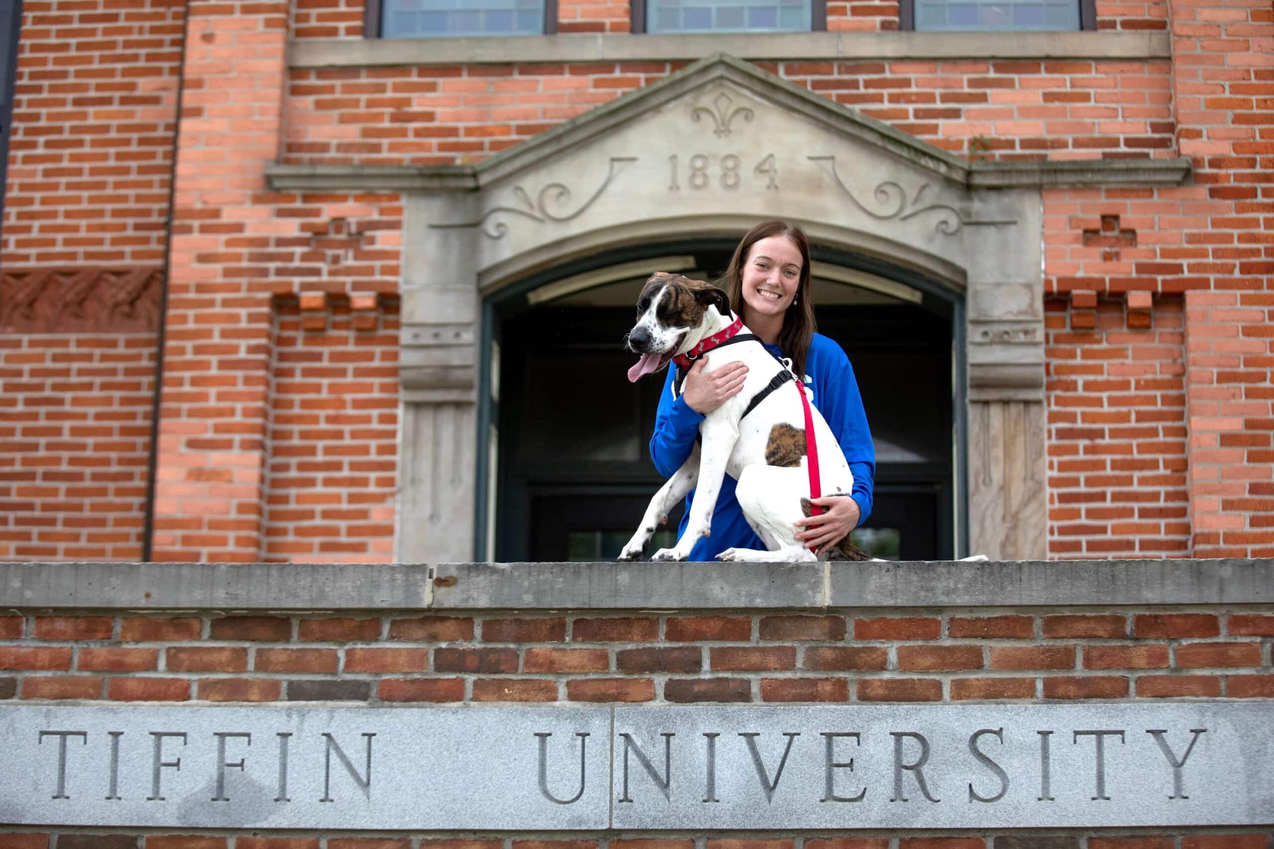 What Is a Pre-Professional Program? | Tiffin University